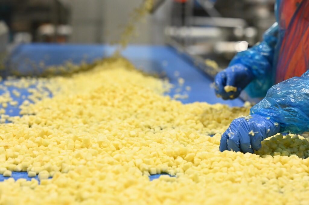 What makes Avondale fruit ingredients different?